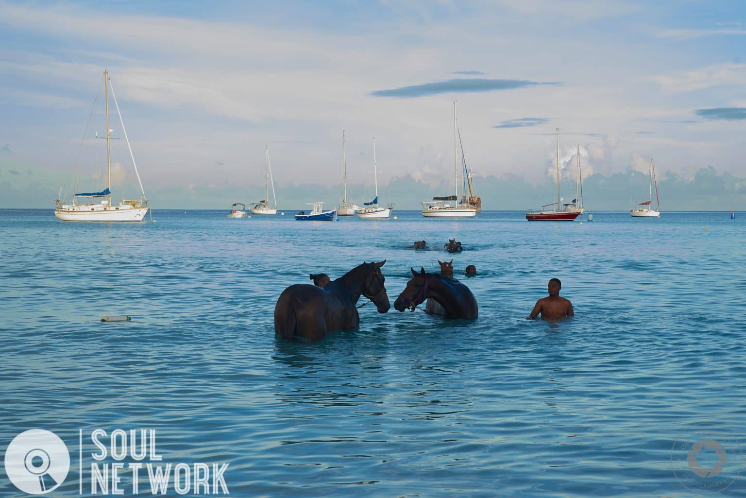 Soul in the Caribbean Barbados 2026 - Accommodation - Soul Network